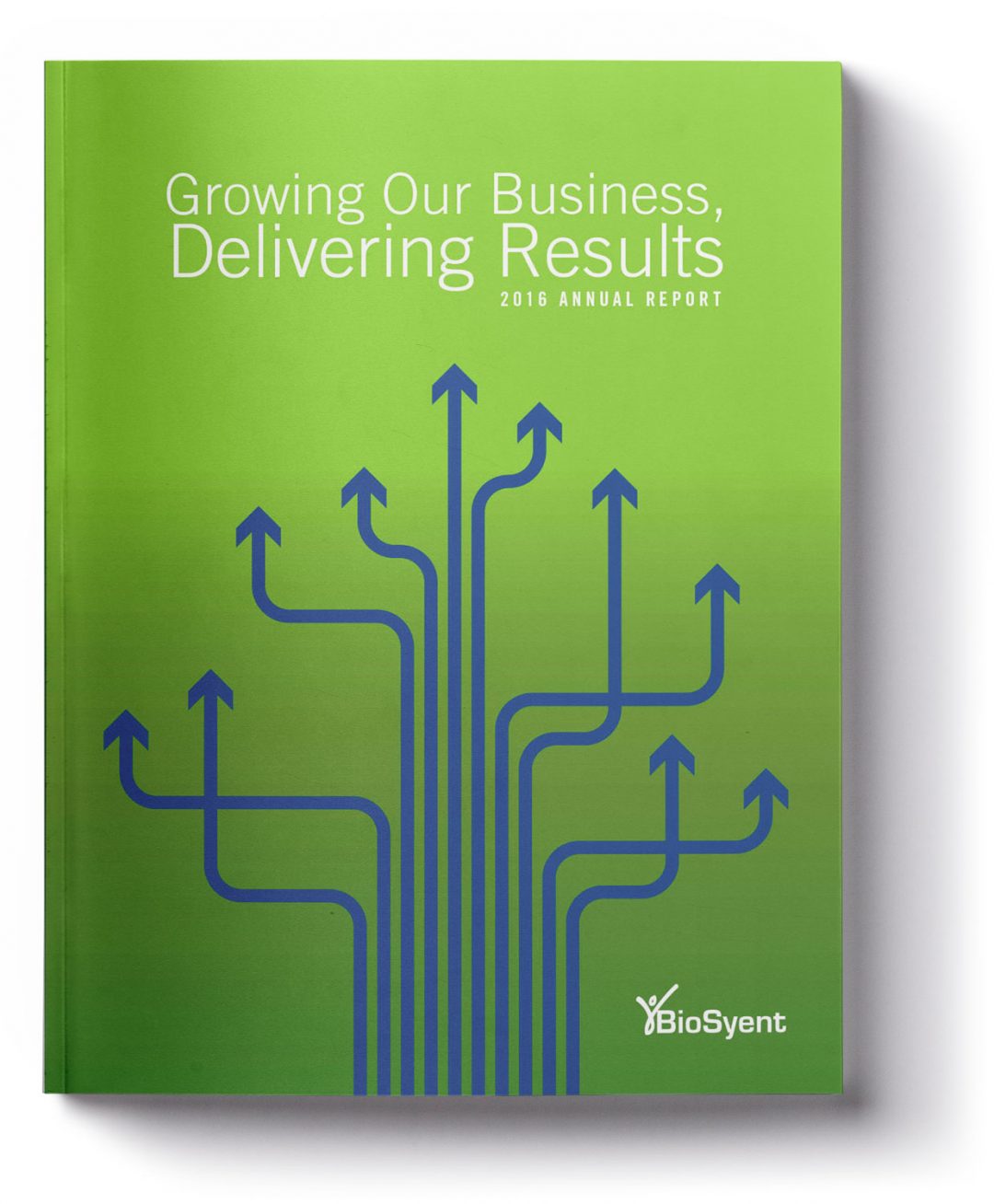 Annual Report Design, Toronto. Swerve Design Group Inc.